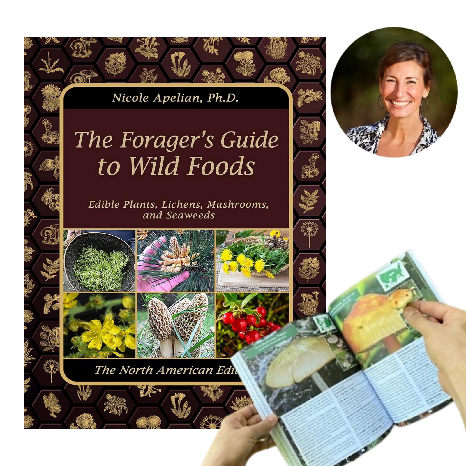 Ensure Your Family's Survival: The Forager’s Guide to Wild Foods, A ...
