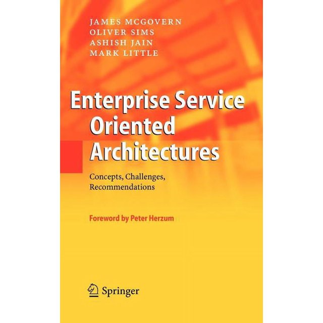 Enterprise: Enterprise Service Oriented Architectures: Concepts ...