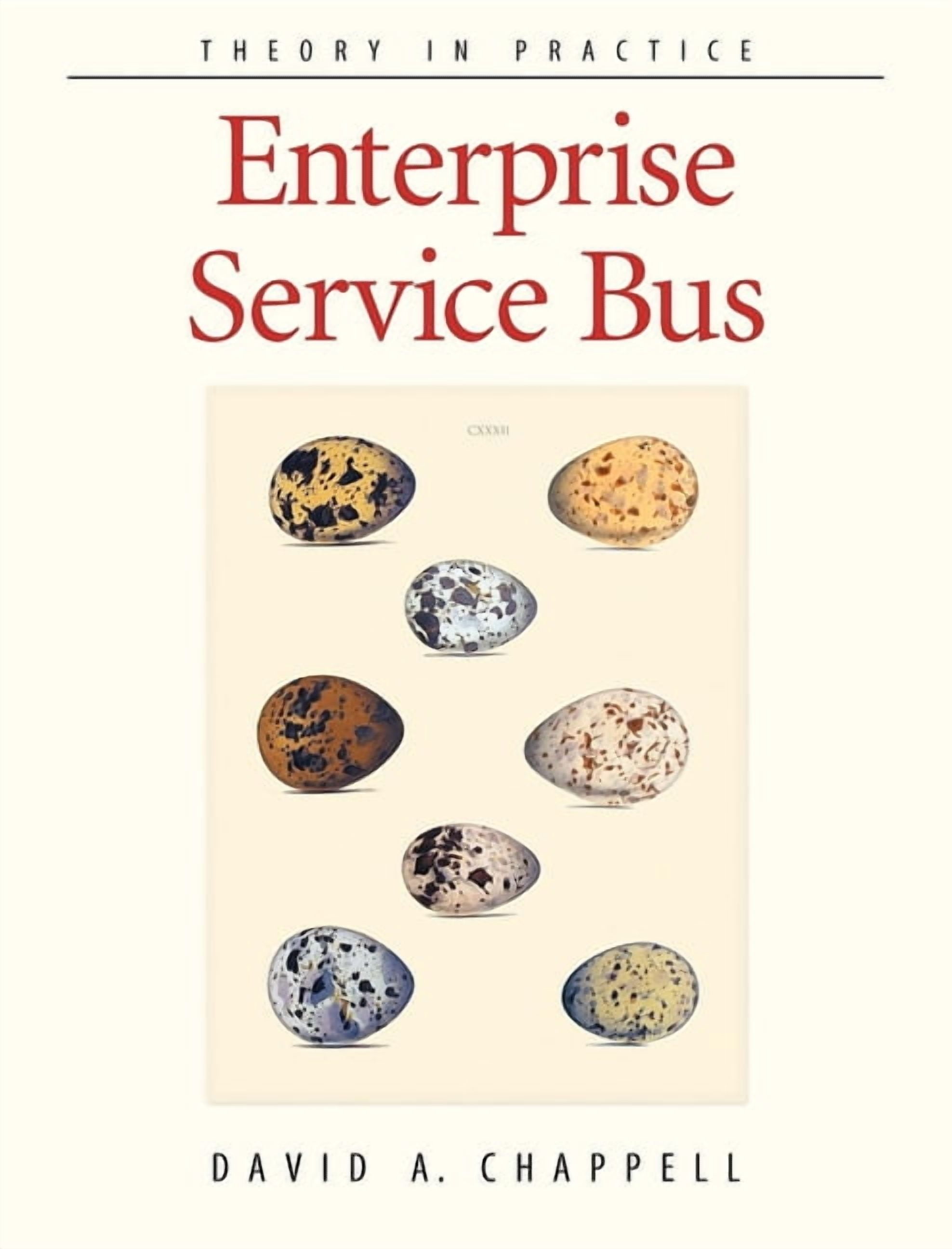 Enterprise Service Buses