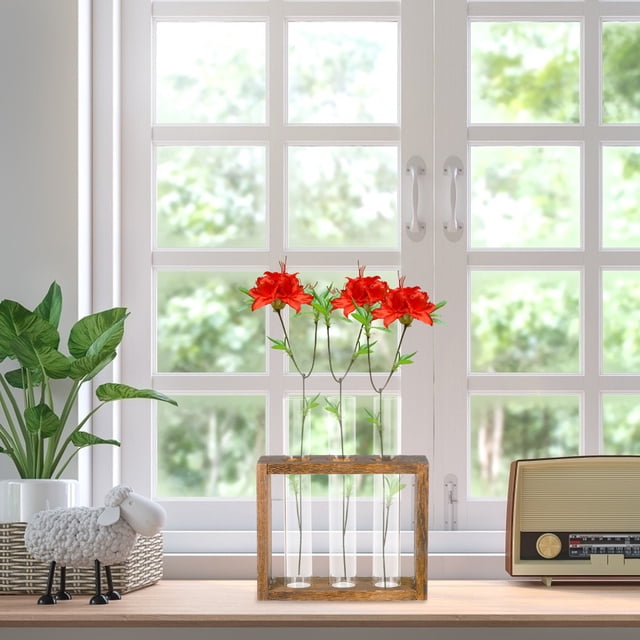 Entireivity 1 Set Simple Vase Test Tube Water Planting Container Test ...