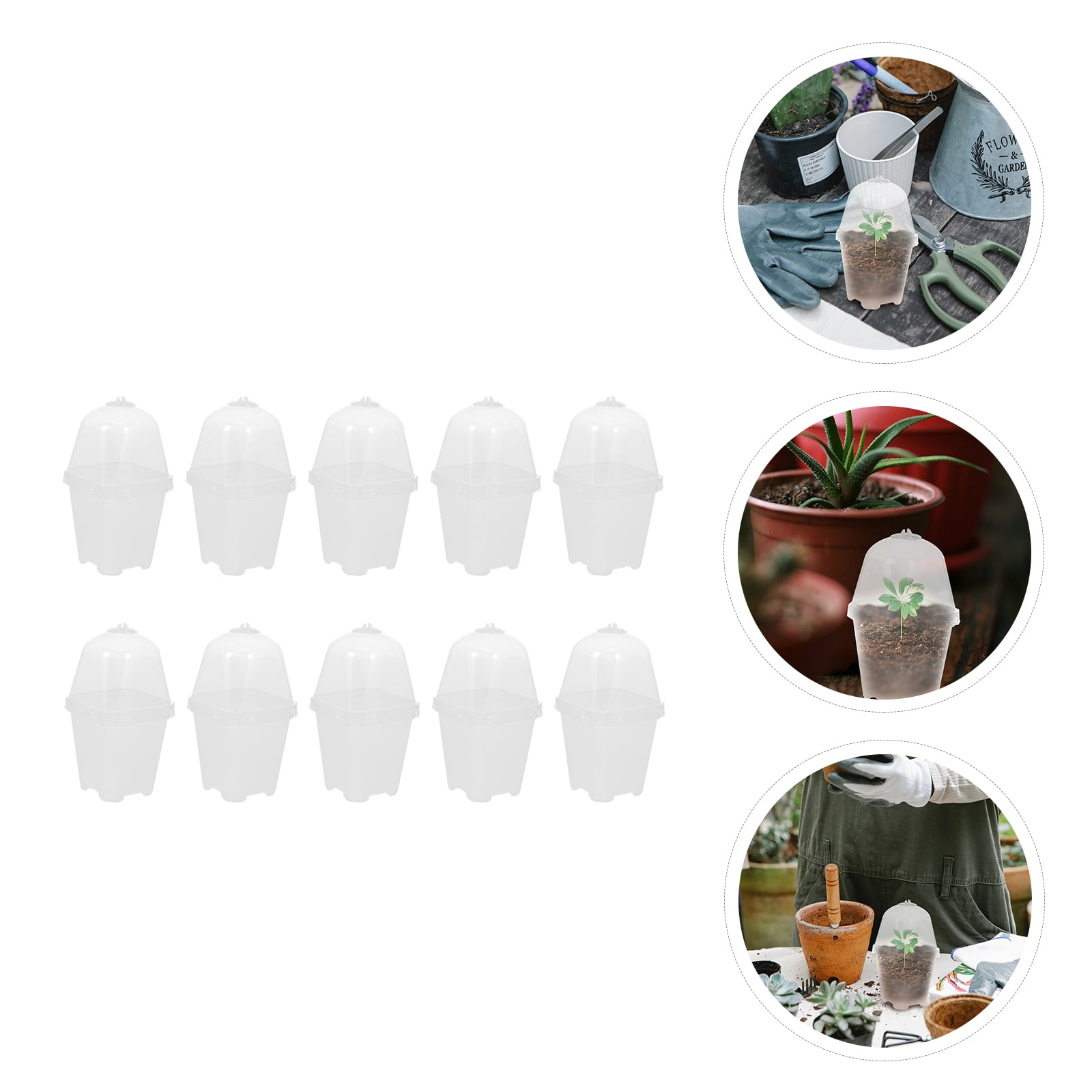 Entireivity 10 Sets Plant Germination Plastic Cups Plant Growing Boxes ...