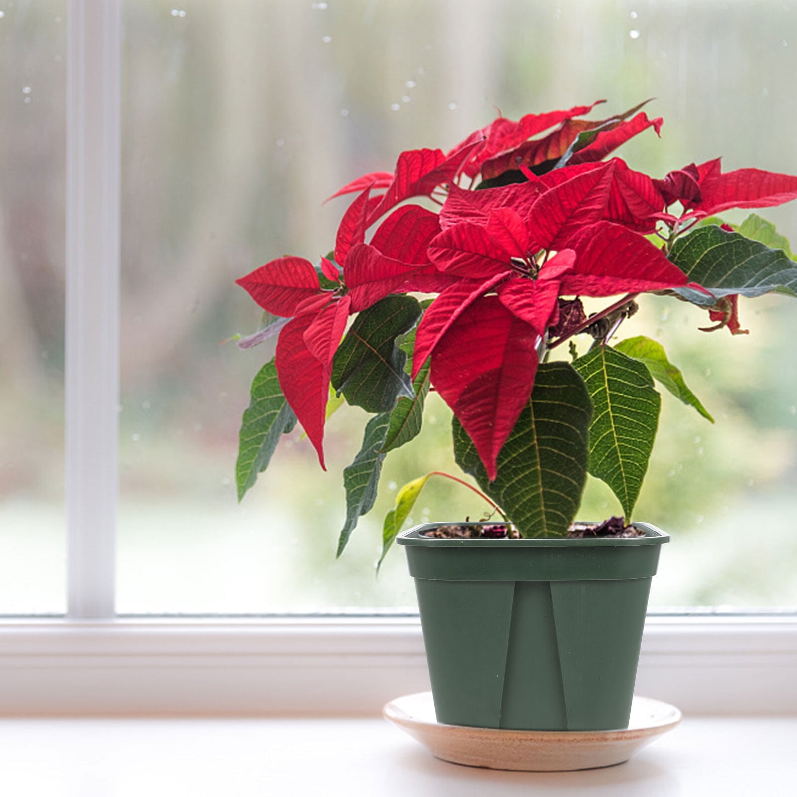 Entireivity 6pcs Propagation Pots Plastic Flower Pots Weather-Resistant ...