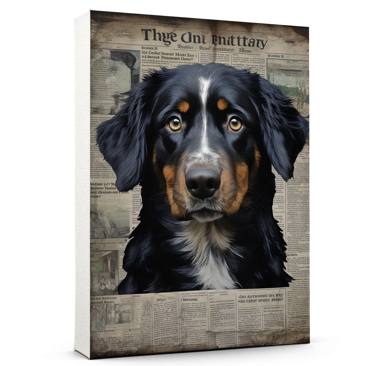Entlebucher Mountain Dog Read Newspapers Sitting Poster Prints on ...
