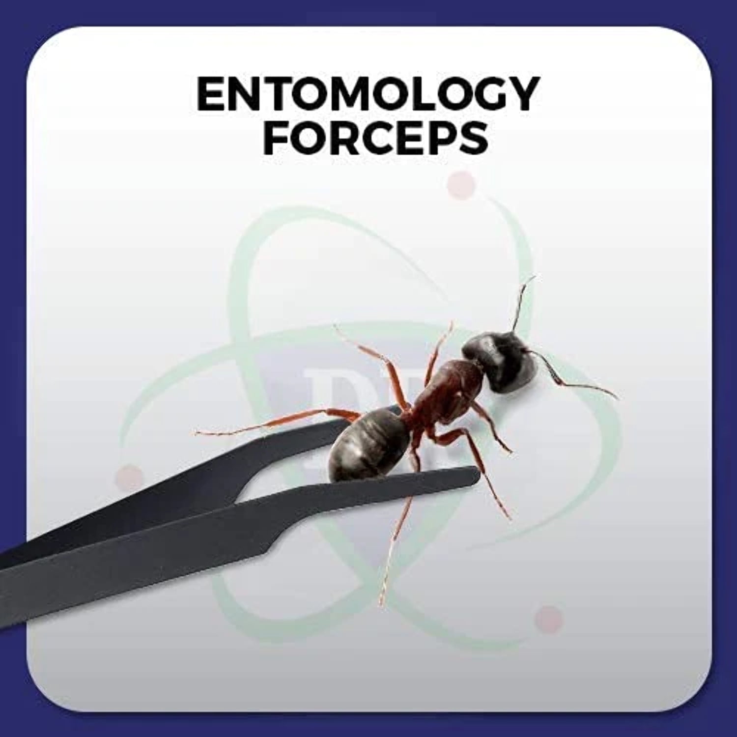 Entomology Forceps with Precision Narrow Points for a Delicate ...