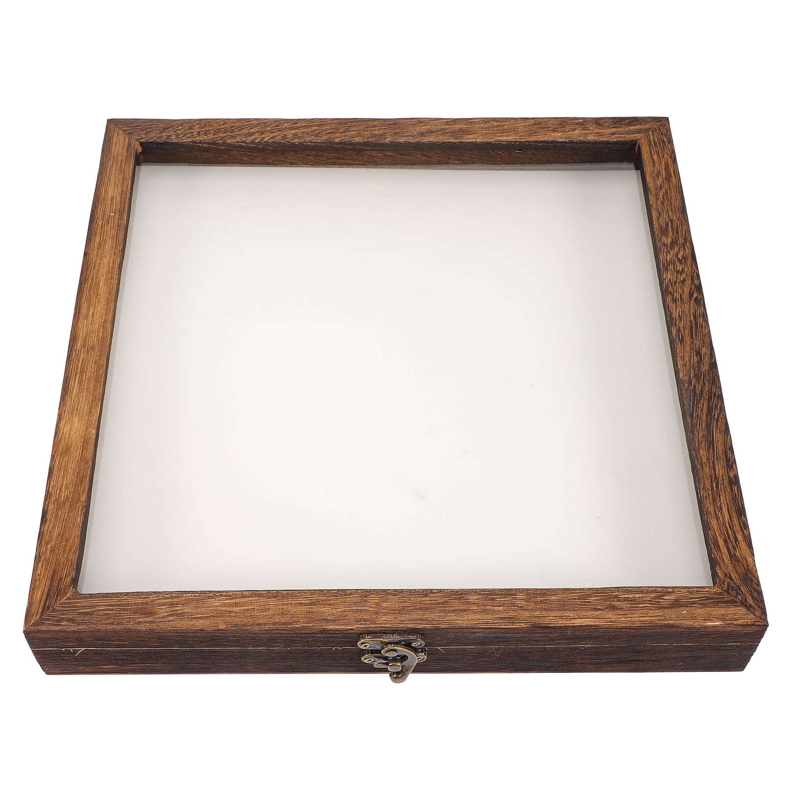 Entomology Kit Bugs Insect Specimen Display Case Portable Box - Walmart.com