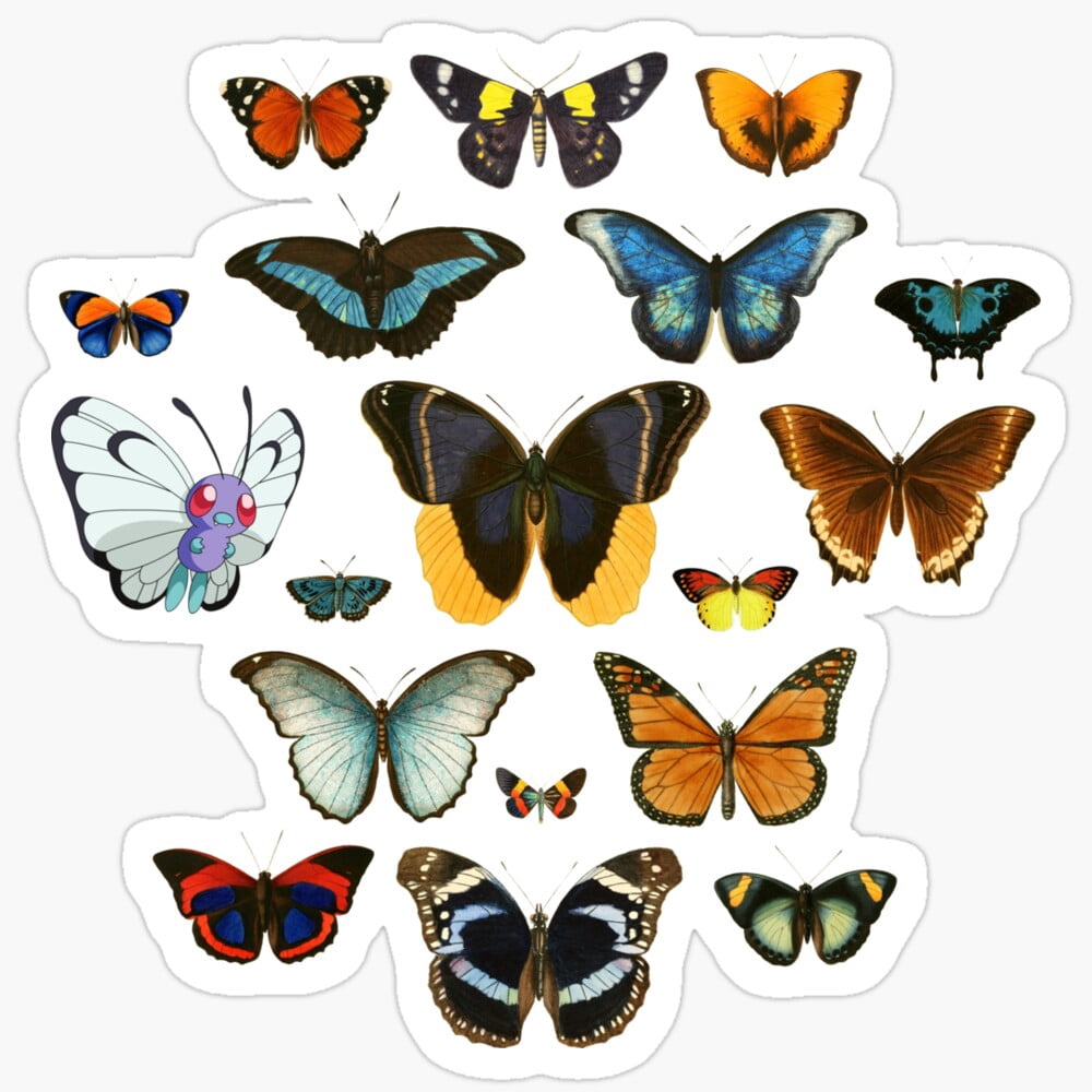 Entomology Sticker Phone Decal Water Bottle Stickers Car Decals, Laptop ...