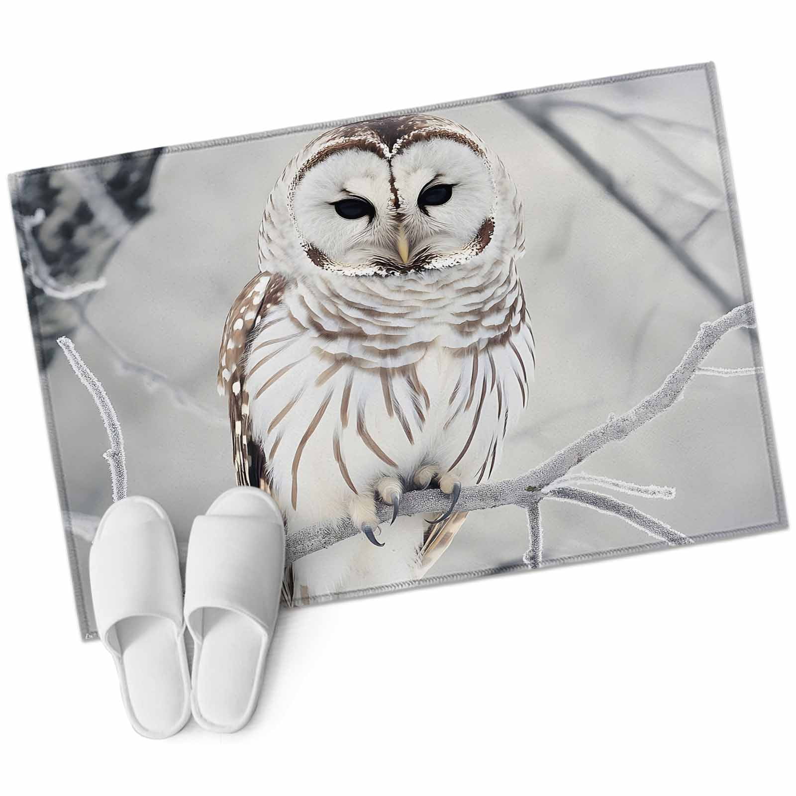 Entryway Rug 2'x3' White Owl Small Area Rug Non-Slip Front Door Mat ...