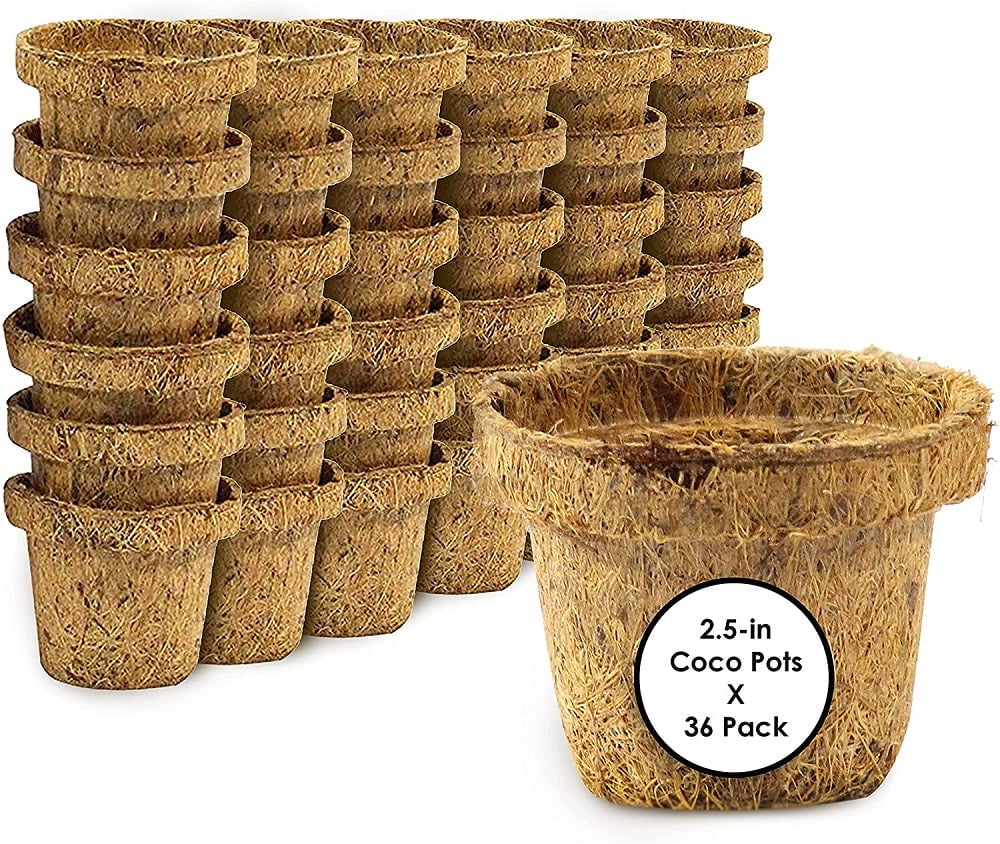 Envelor Coco Coir Plant Pots Seed Starter Tray Biodegradable Seed ...