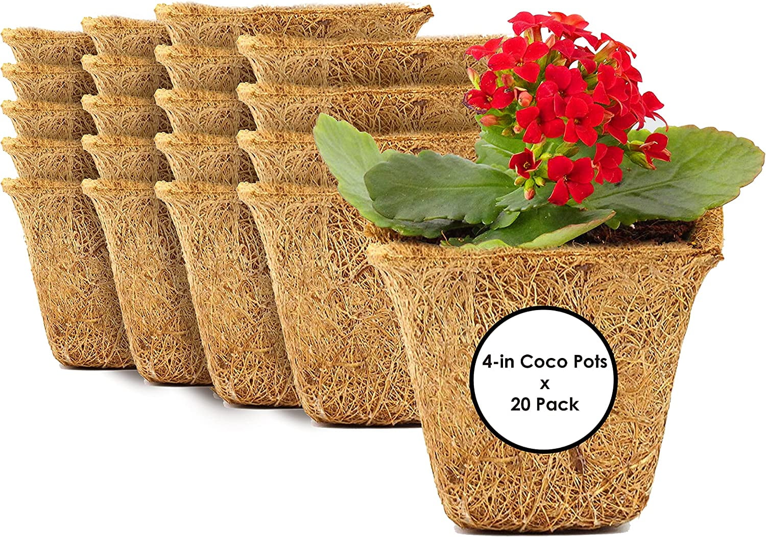 Envelor Coco Coir Plant Pots Seed Starter Tray Biodegradable Seed ...