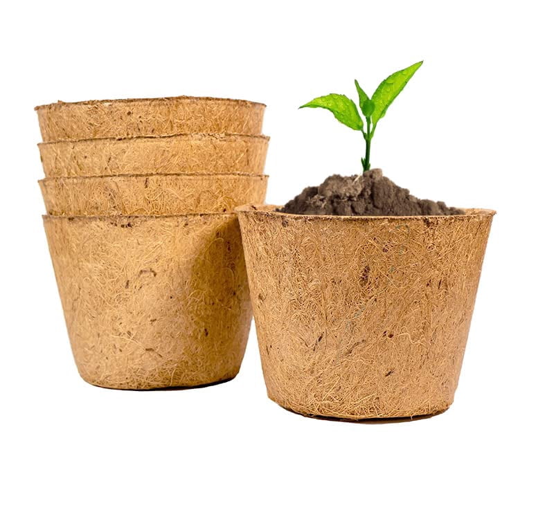 Envelor Coco Coir Plant Pots Seed Starter Tray Biodegradable Seed ...