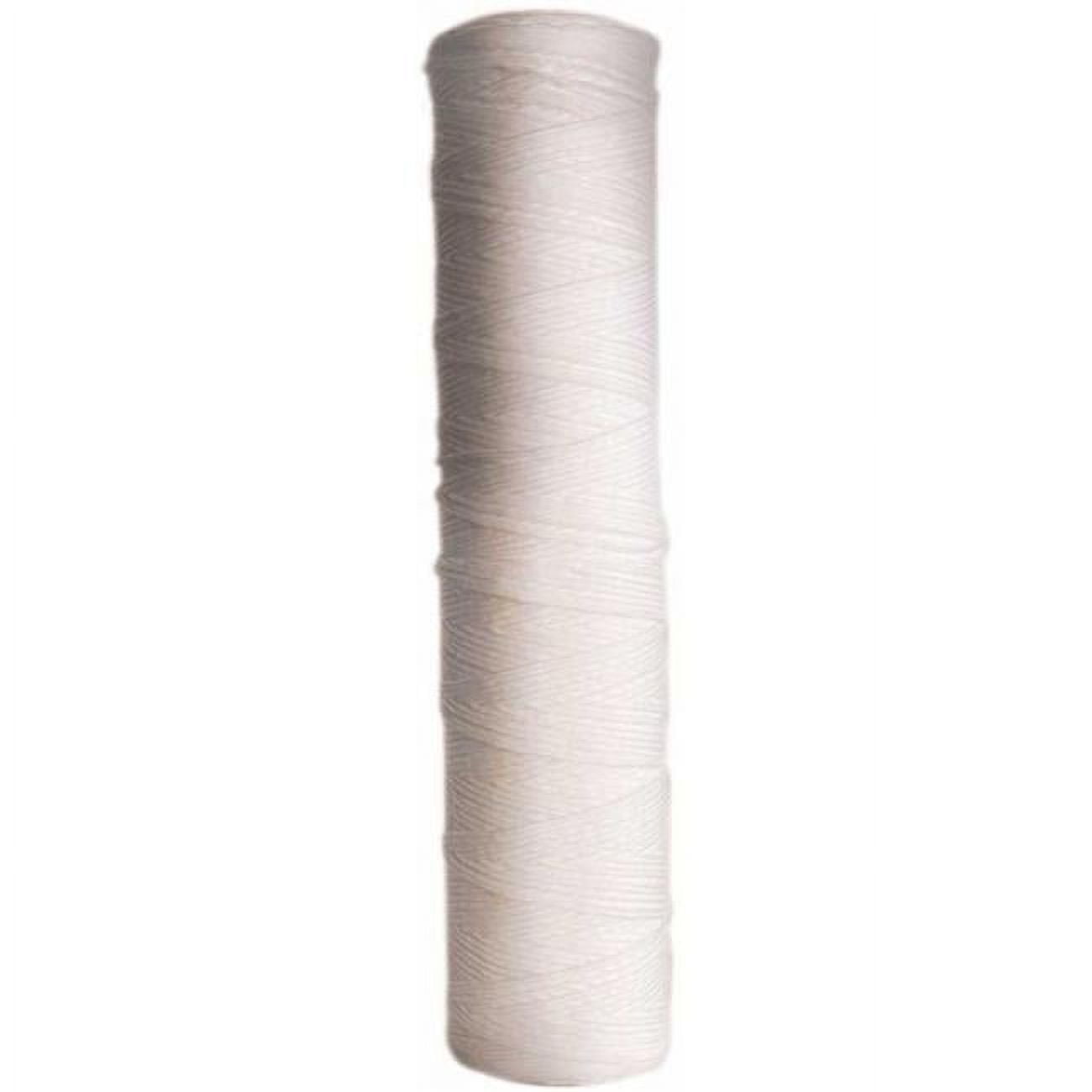Enviro Water Products RGMINIR1 Replacement Sediment Filter for 2-Stage ...