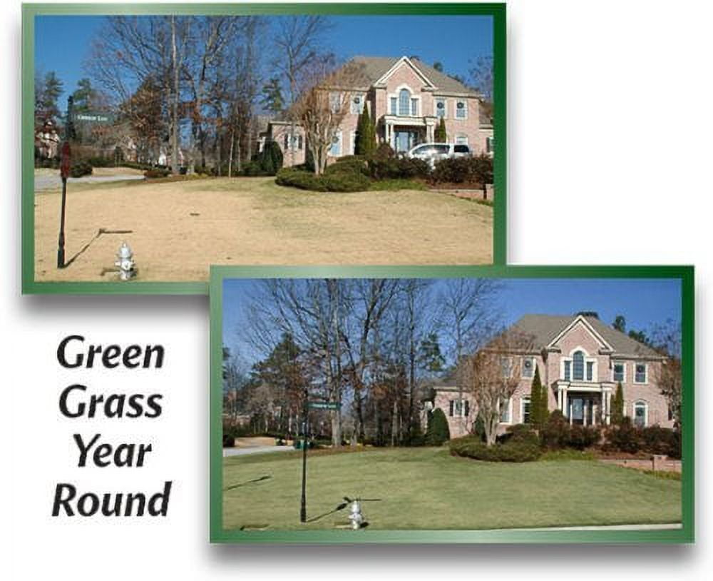EnviroColor 4EG0032 851612002100 (1,000 Sq.Ft) 4Evergreen Grass & Turf ...