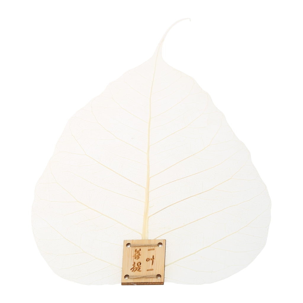 Environmental Bodhis Leaf Teaes Leak Filter for Creative KungFu Meshs Hollowed Filters Teaes Set ...