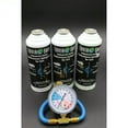 EnviroSafe R134a Industrial Replacement 21 oz Automotive Refrigerant (3 ...