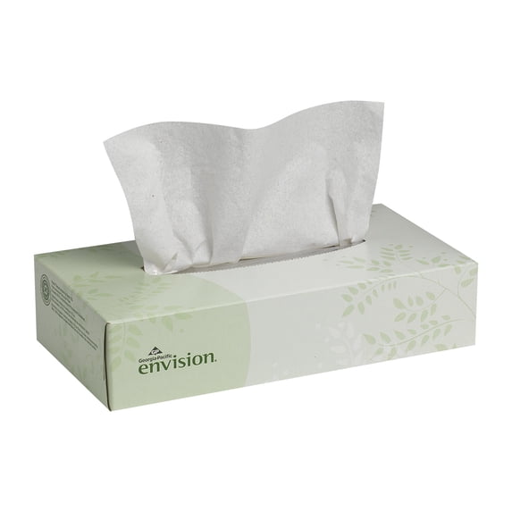 Envision 2-Ply Facial Tissue Flat Box 100 Count, 1 Flat Box - Walmart.com