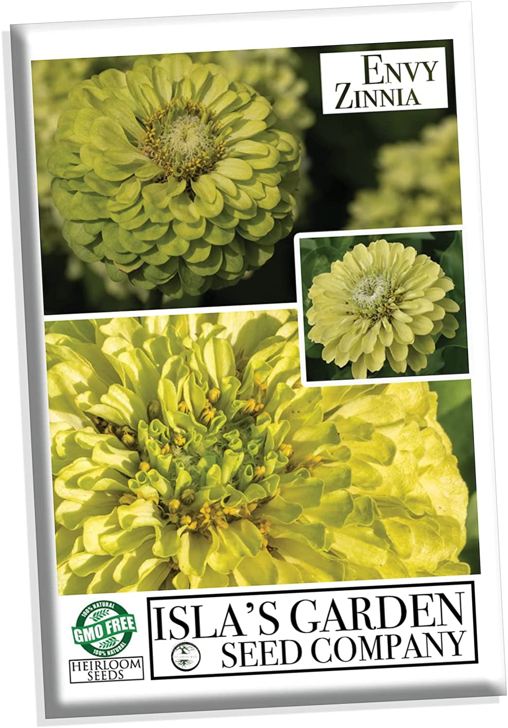 Envy Zinnia Seeds for Planting, 30+ Seeds Per Packet Non GMO & Heirloom ...