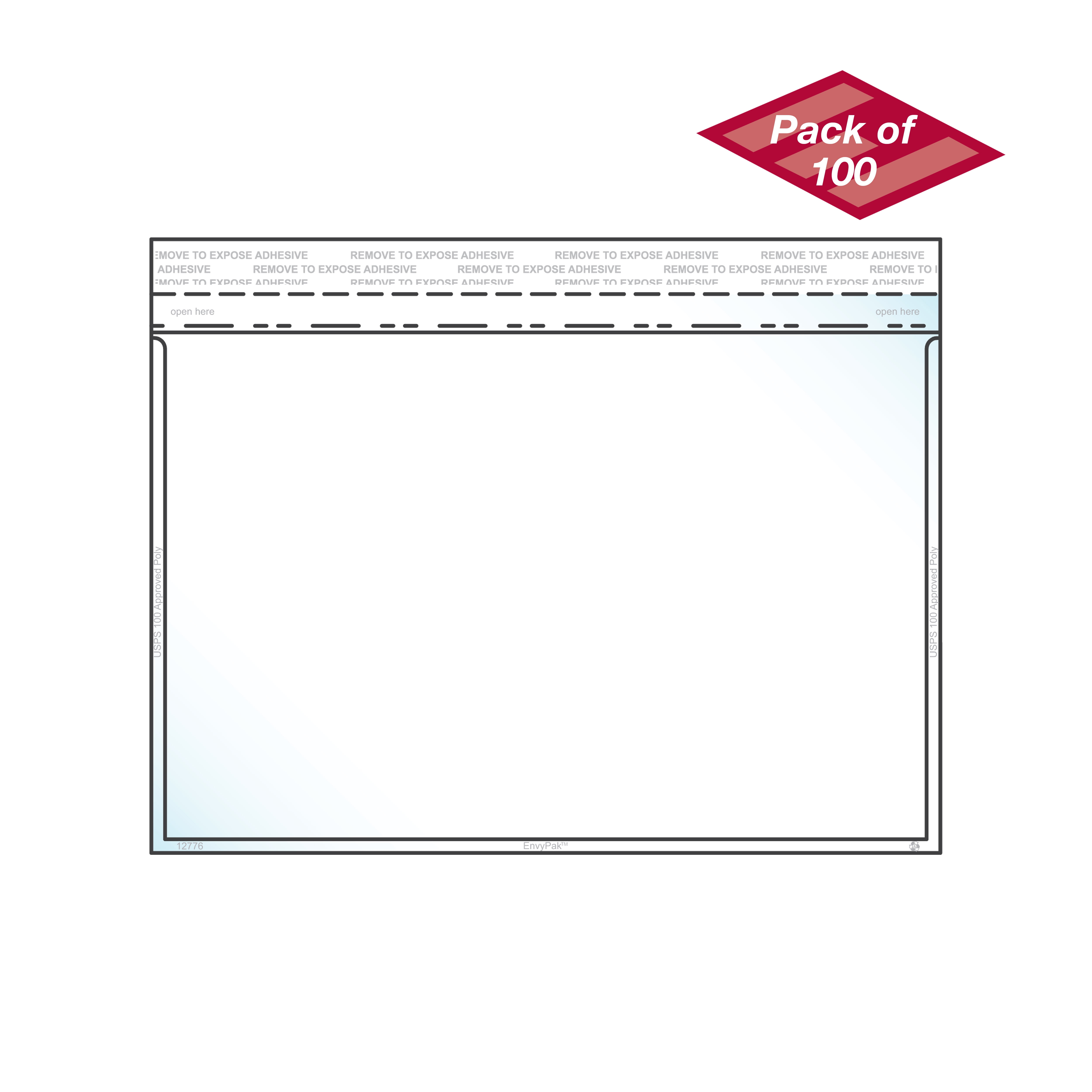 EnvyPak Crystal Clear Booklet Style Envelope 6" x 9", Permanent Tape (5 ...