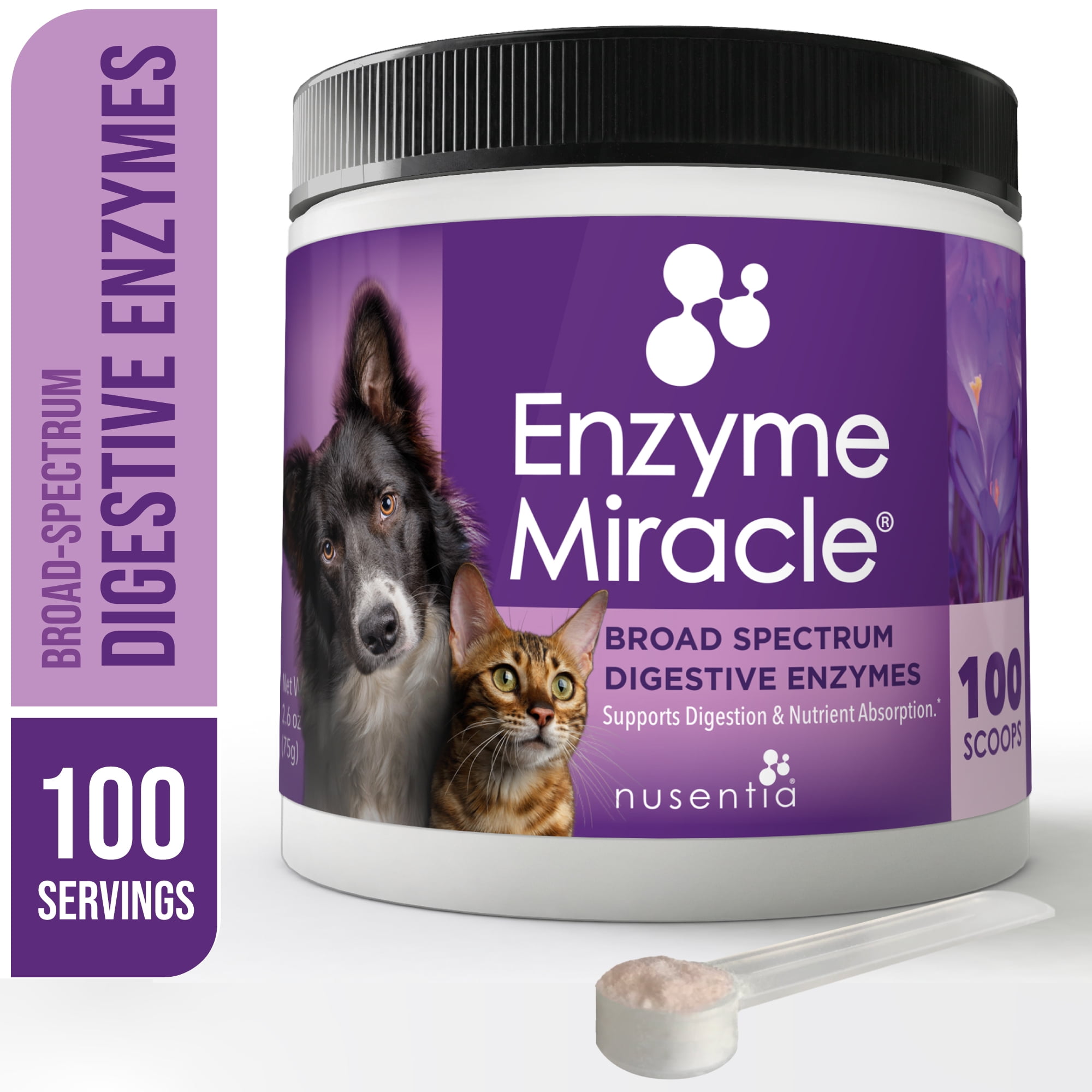 Enzyme Miracle | Digestive Enzymes for Pets | 100 Servings, Powder ...