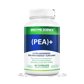 Free Shipping! Stonehenge Health Dynamic Nerve Supplement Supports ...