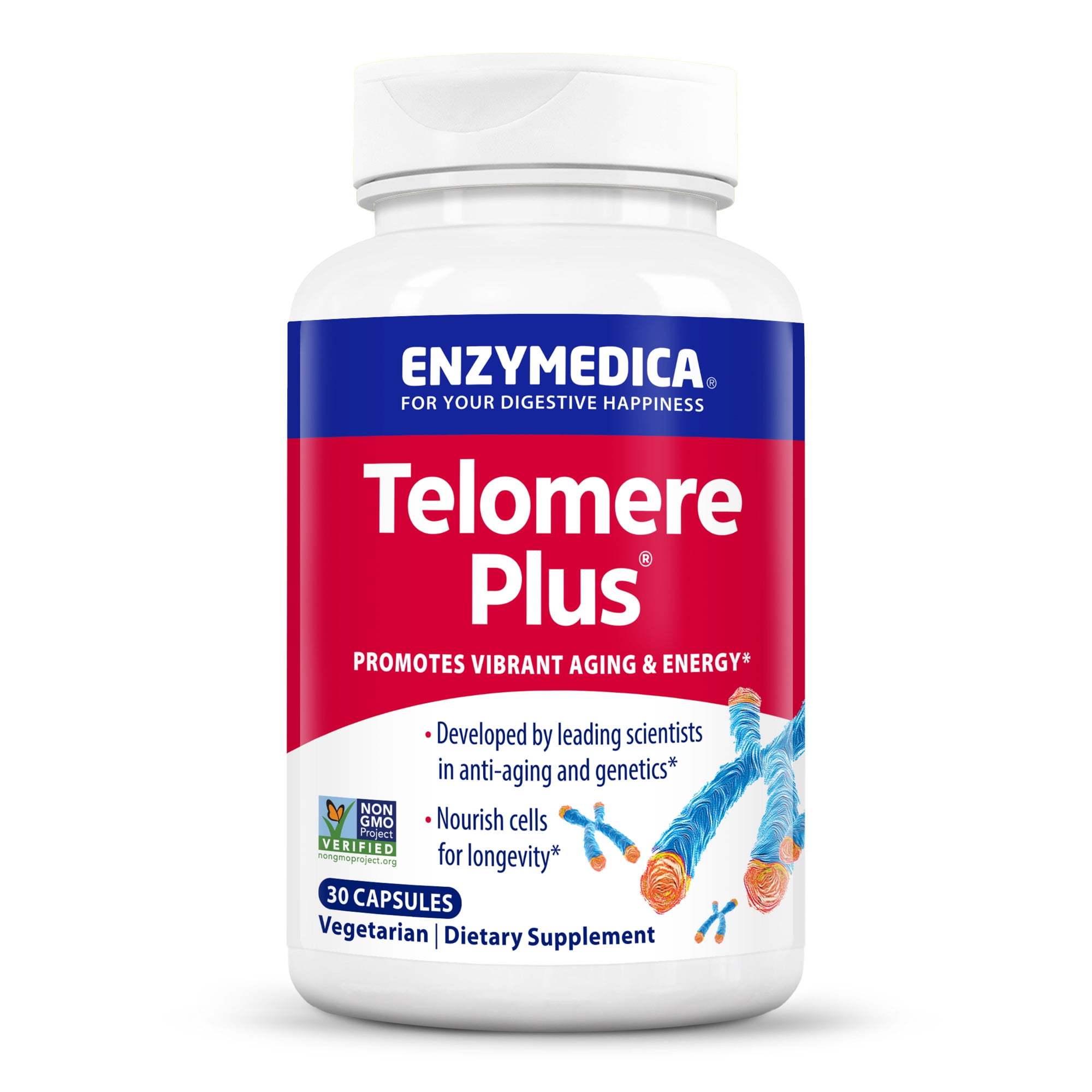 Enzymedica Telomere Plus Capsules, Supports Healthy Aging & Energy ...