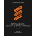 Enzymes, Volume 1, (Paperback) - Walmart.com