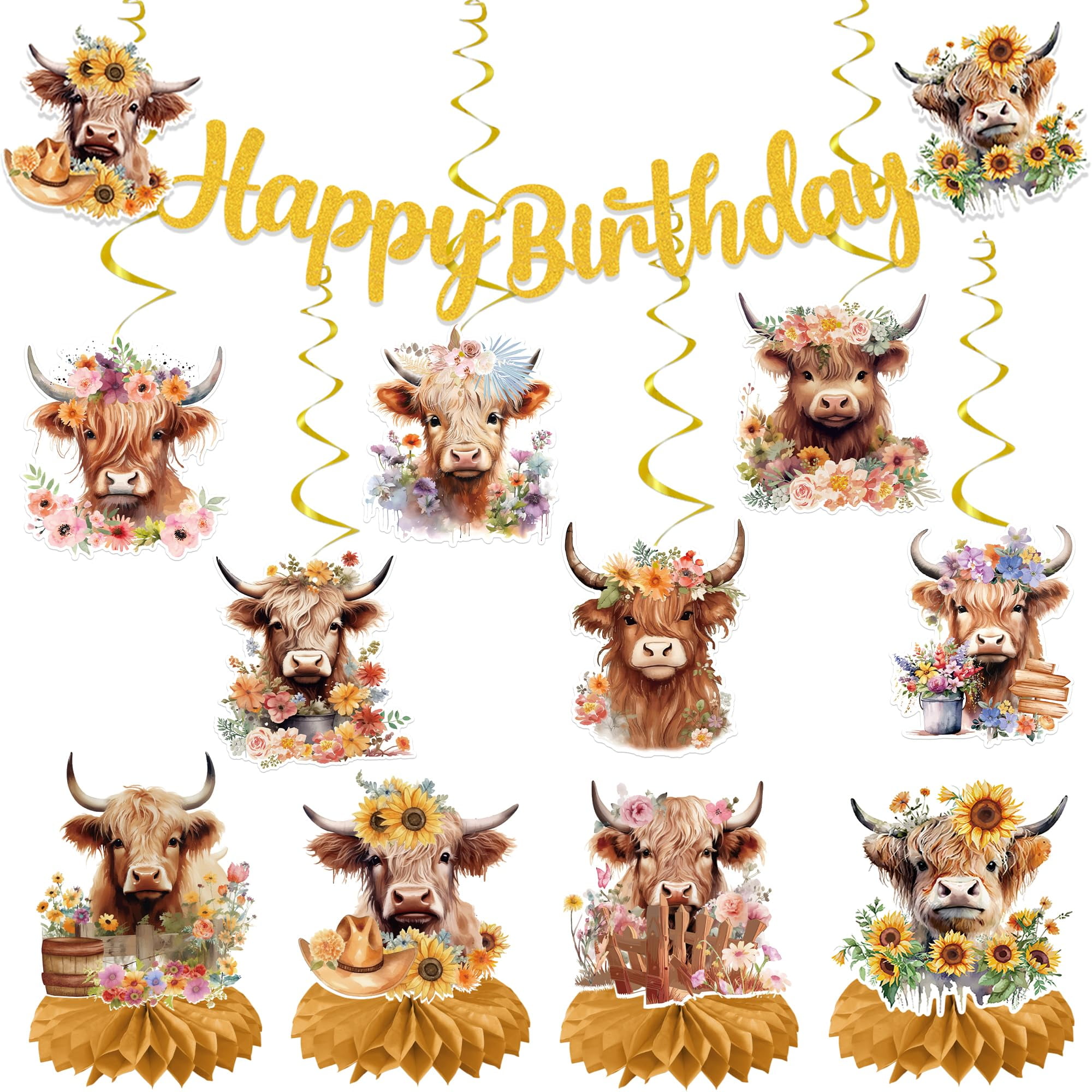EoBeCy Highland Cow Birthday Decorations: 19PCS Happy Birthday Highland ...