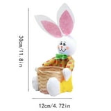 Eoozwa Easter Basket Art Funny Colorful Animal Small for Party Candy ...