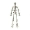 Eoozwa Magnetic Skeleton Model Articulated Joints Poseable Display for ...
