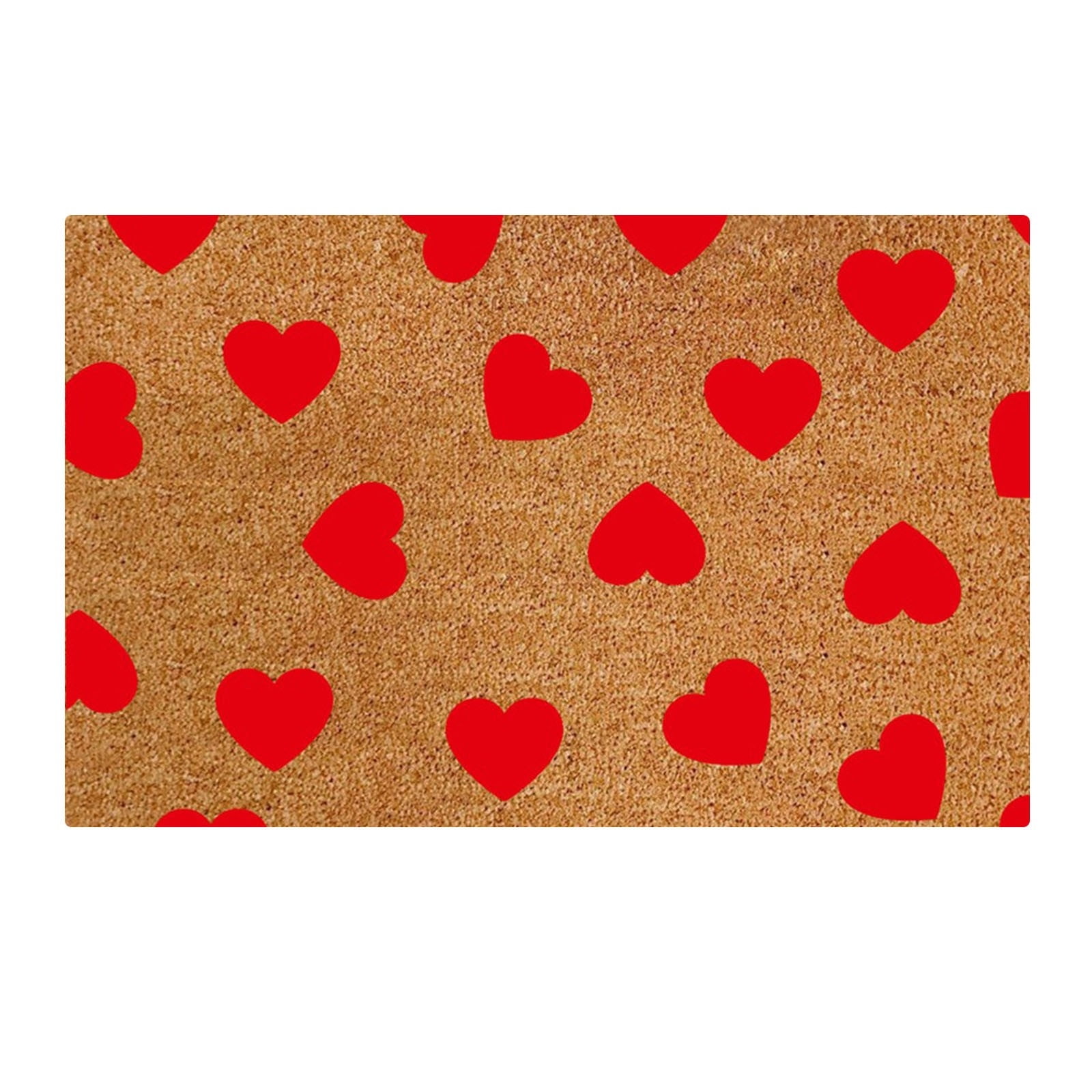 Eoozwa Valentine's Day Themed Door Mat 15.7x23.6in Non Slip Indoor ...