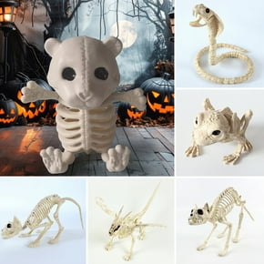 Mini Skeleton