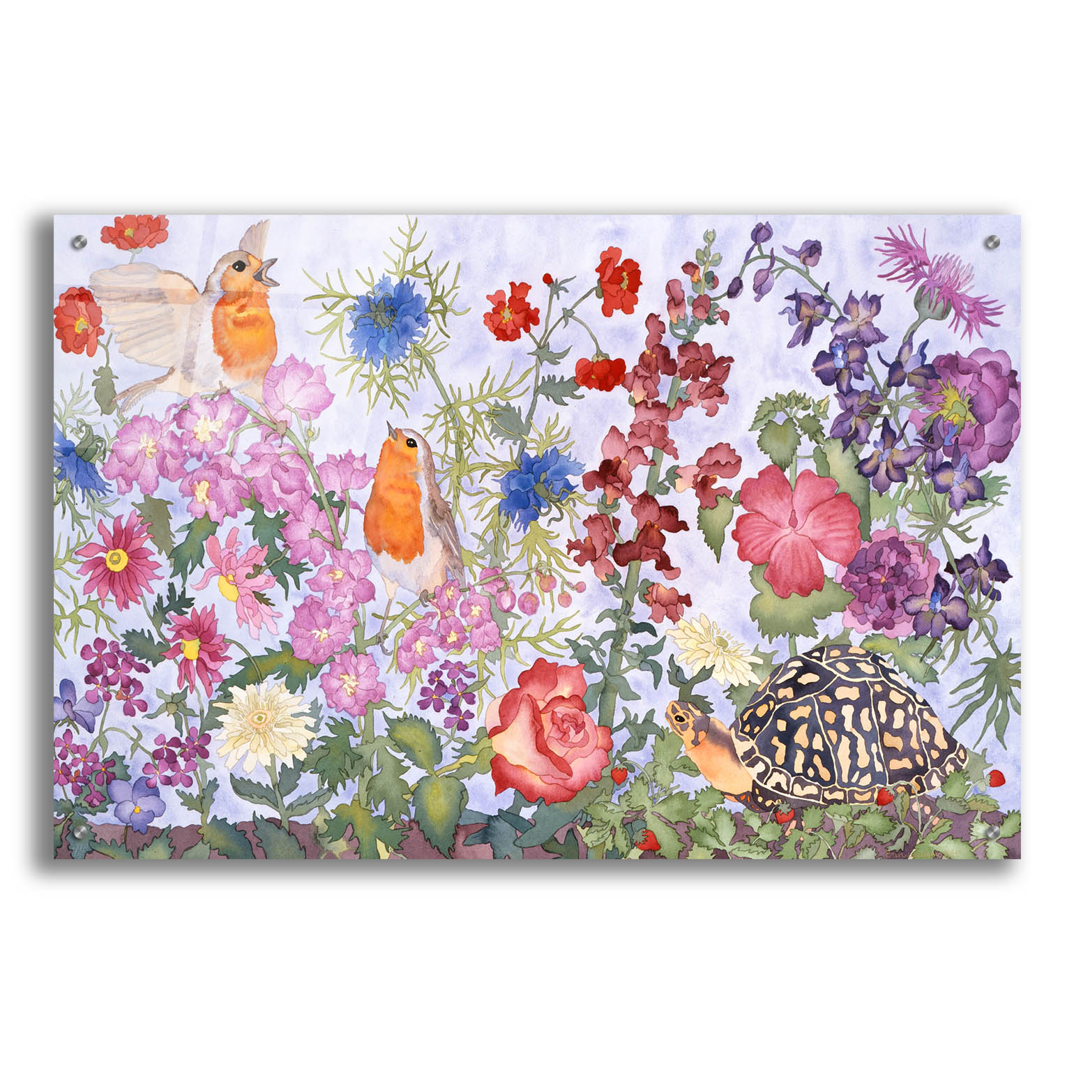 Epic Art 'A Turtles Dream' by Carissa Luminess, Acrylic Glass Wall Art ...