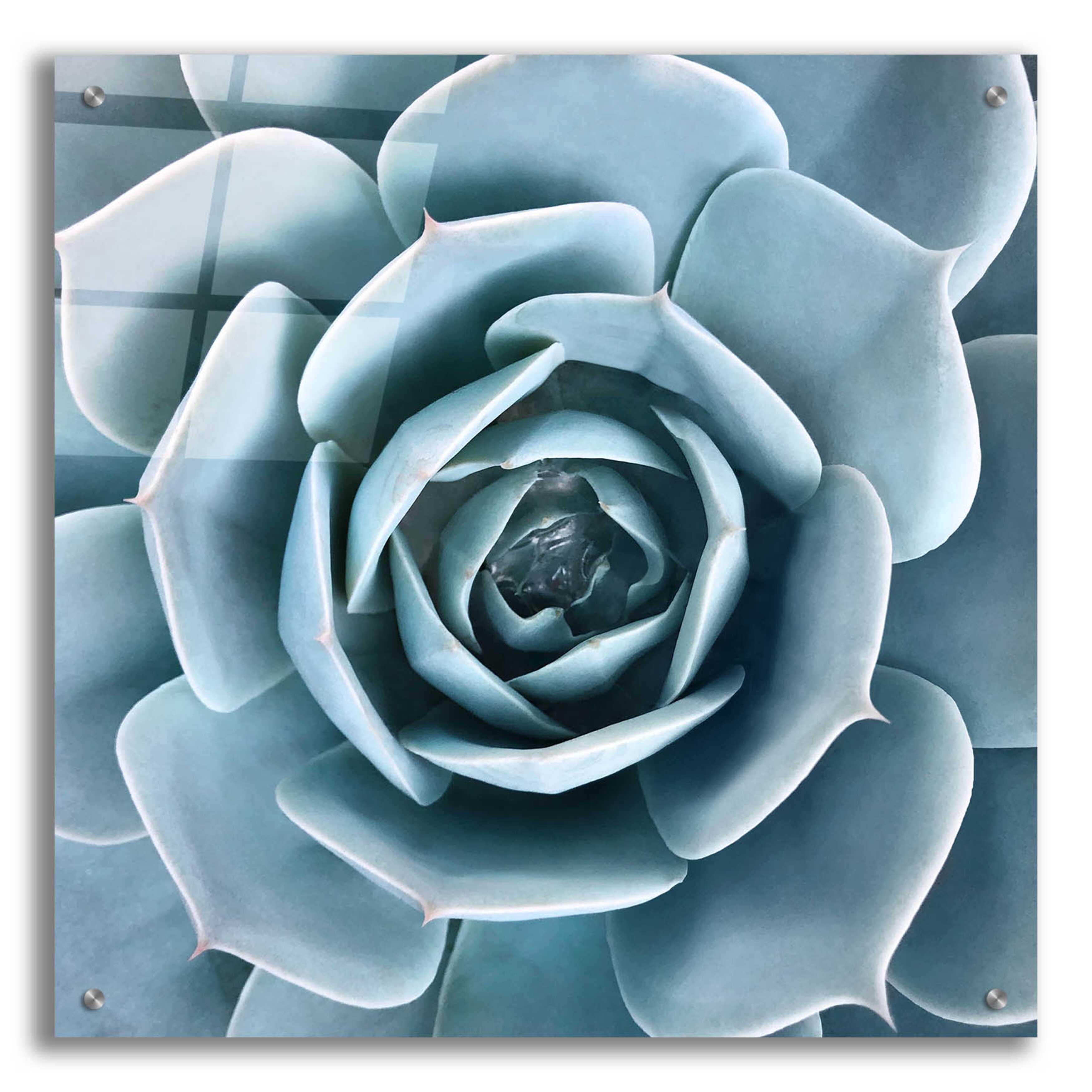 Epic Art 'After the Rain' by Jan Bell Acrylic Glass Wall Art, 24"x24 ...