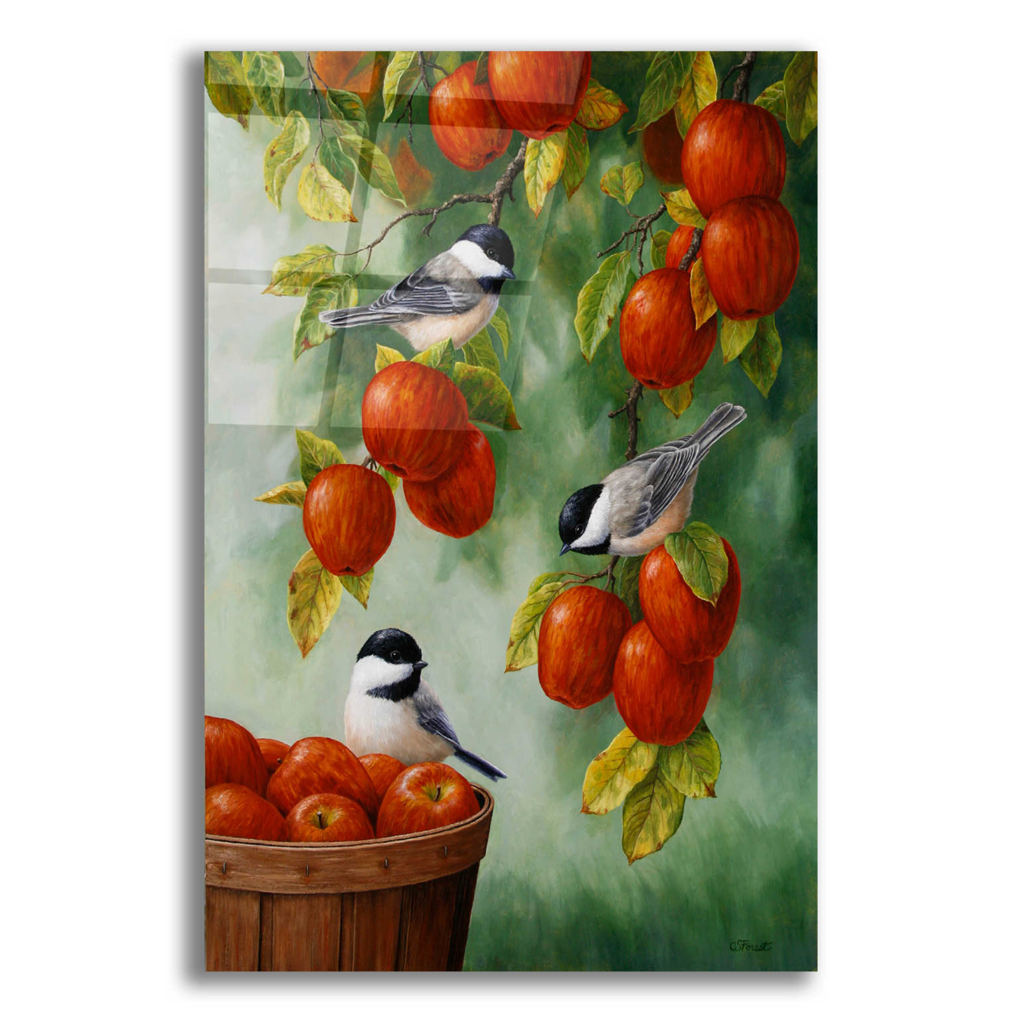 Epic Art 'Apple Harvest Chickadees' by Crista Forest, Acrylic Glass ...