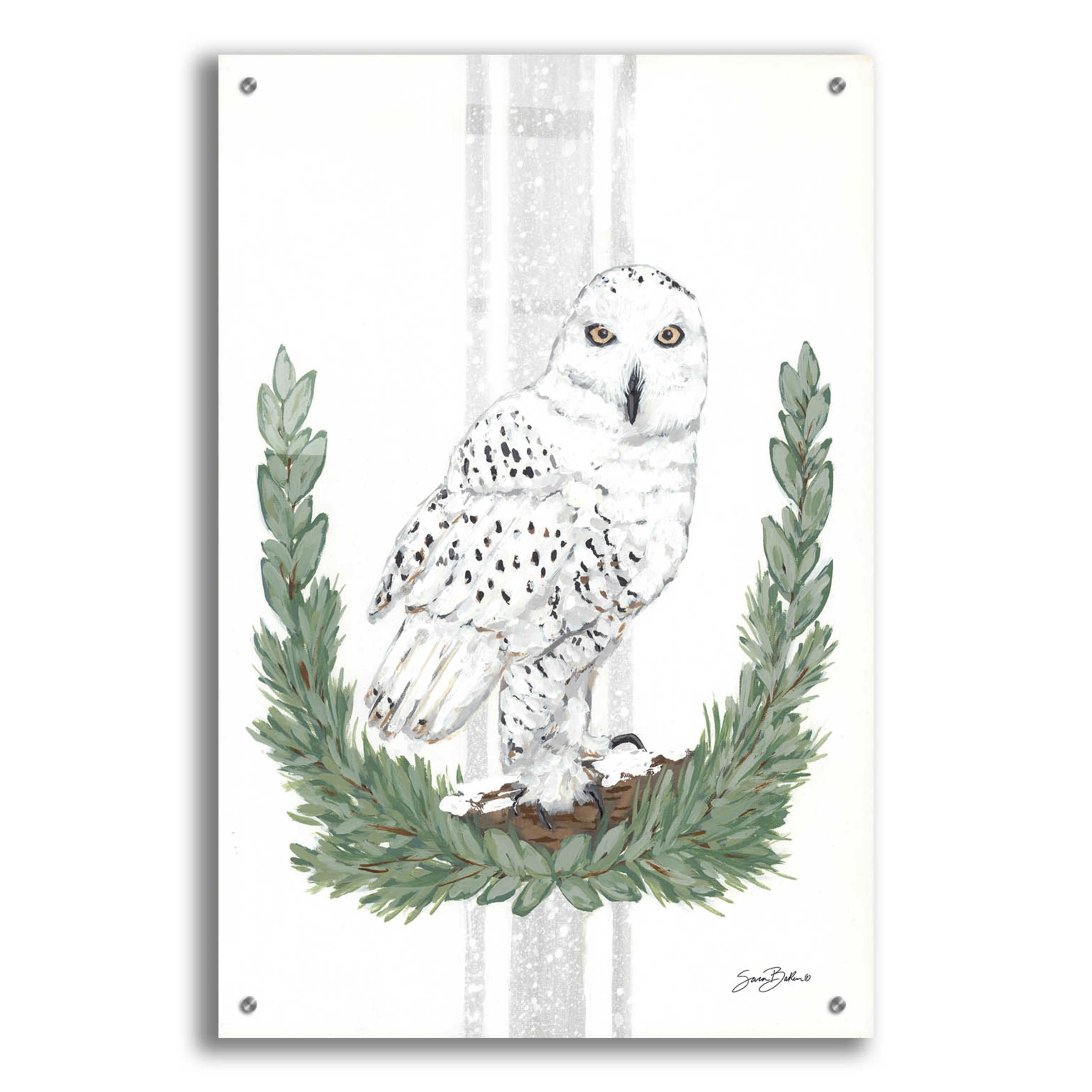 Epic Art 'Arctic Winter Owl ' by Sara Baker, Acrylic Glass Wall Art, 24 ...