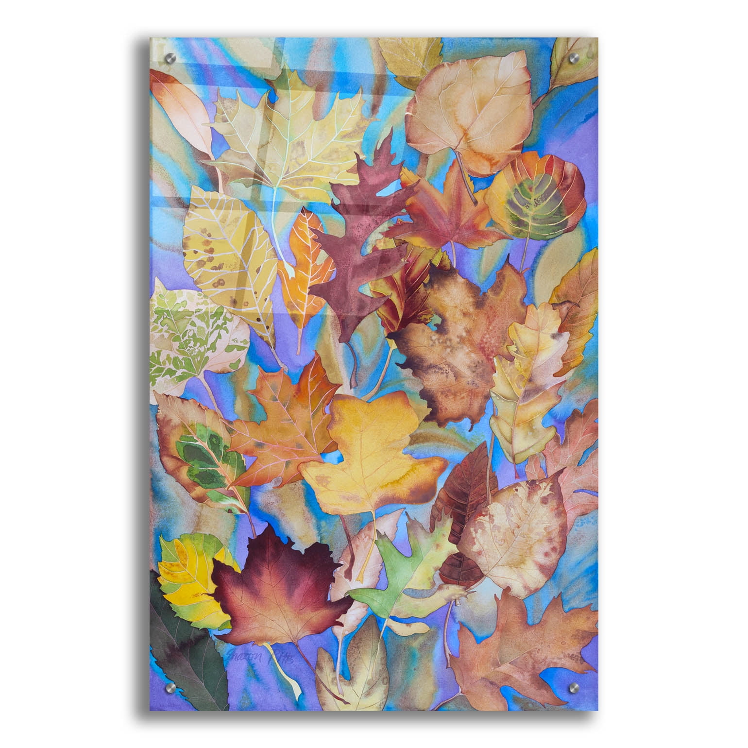 Epic Art 'Autumn Leaves V' by Sharon Pitts, Acrylic Glass Wall Art, 24 ...