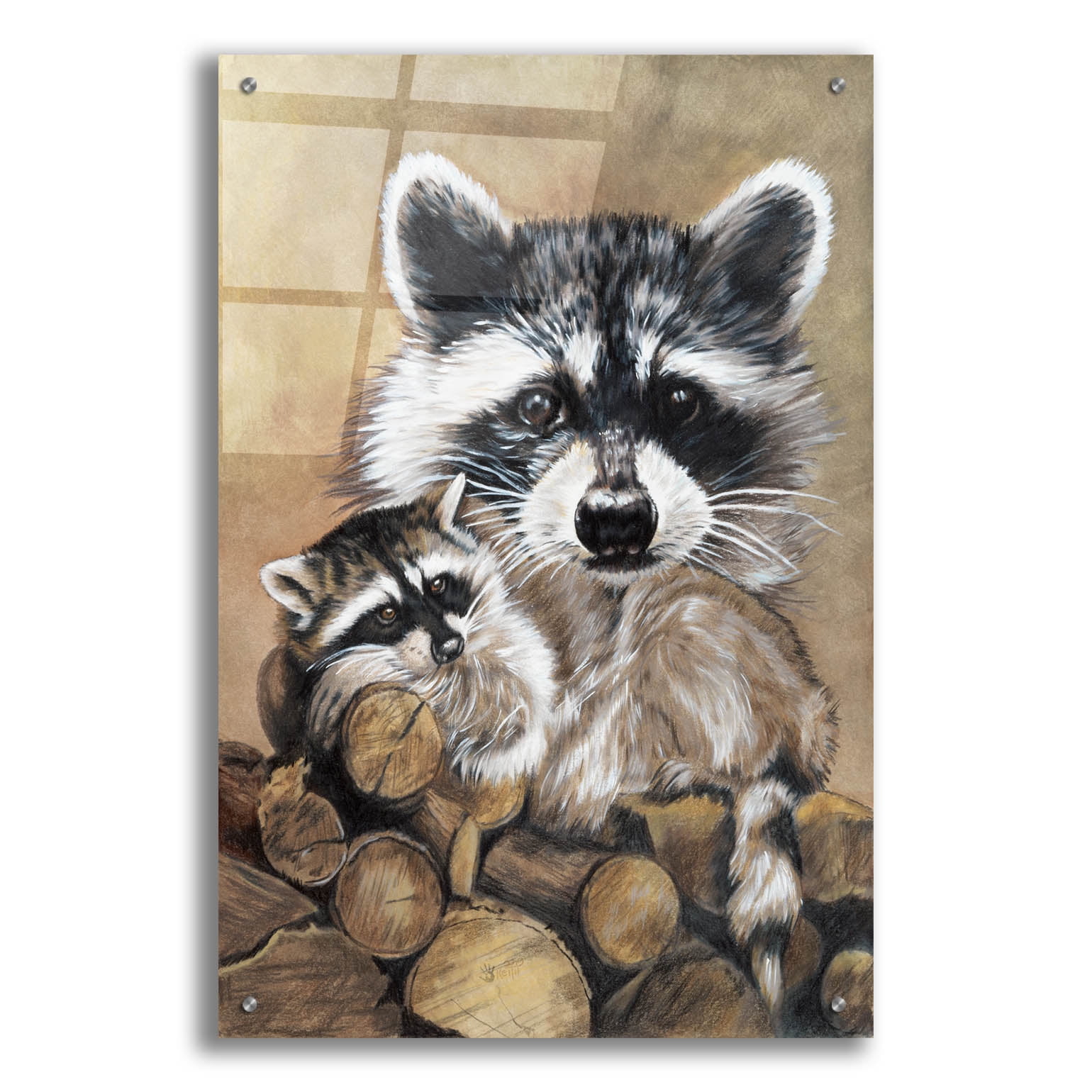 Epic Art 'Bandit' by Barbara Keith, Acrylic Glass Wall Art, 24"x36 ...
