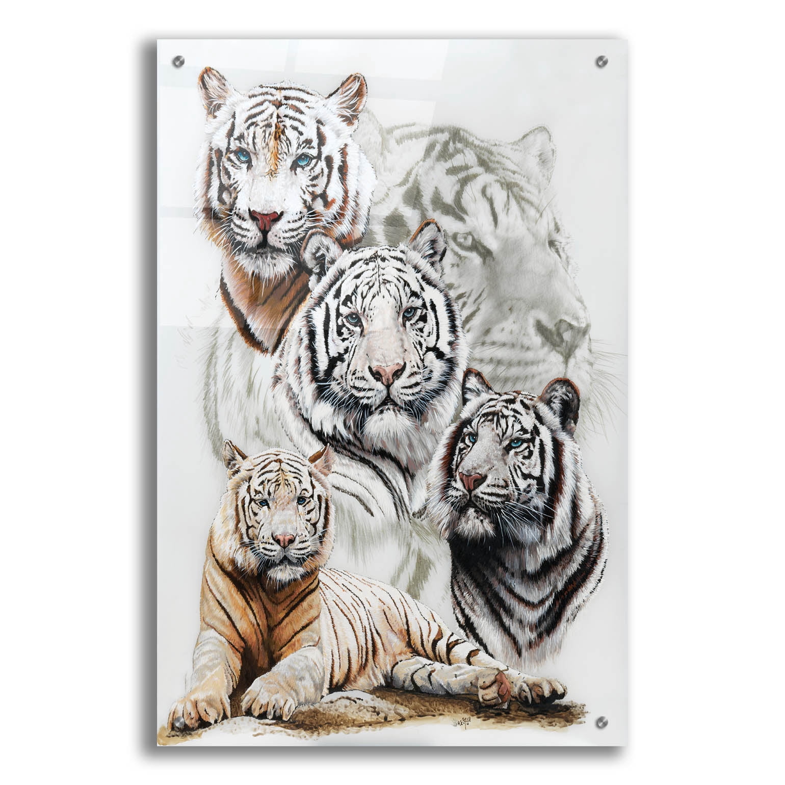 Epic Art 'Baron' by Barbara Keith, Acrylic Glass Wall Art, 24"x36 ...
