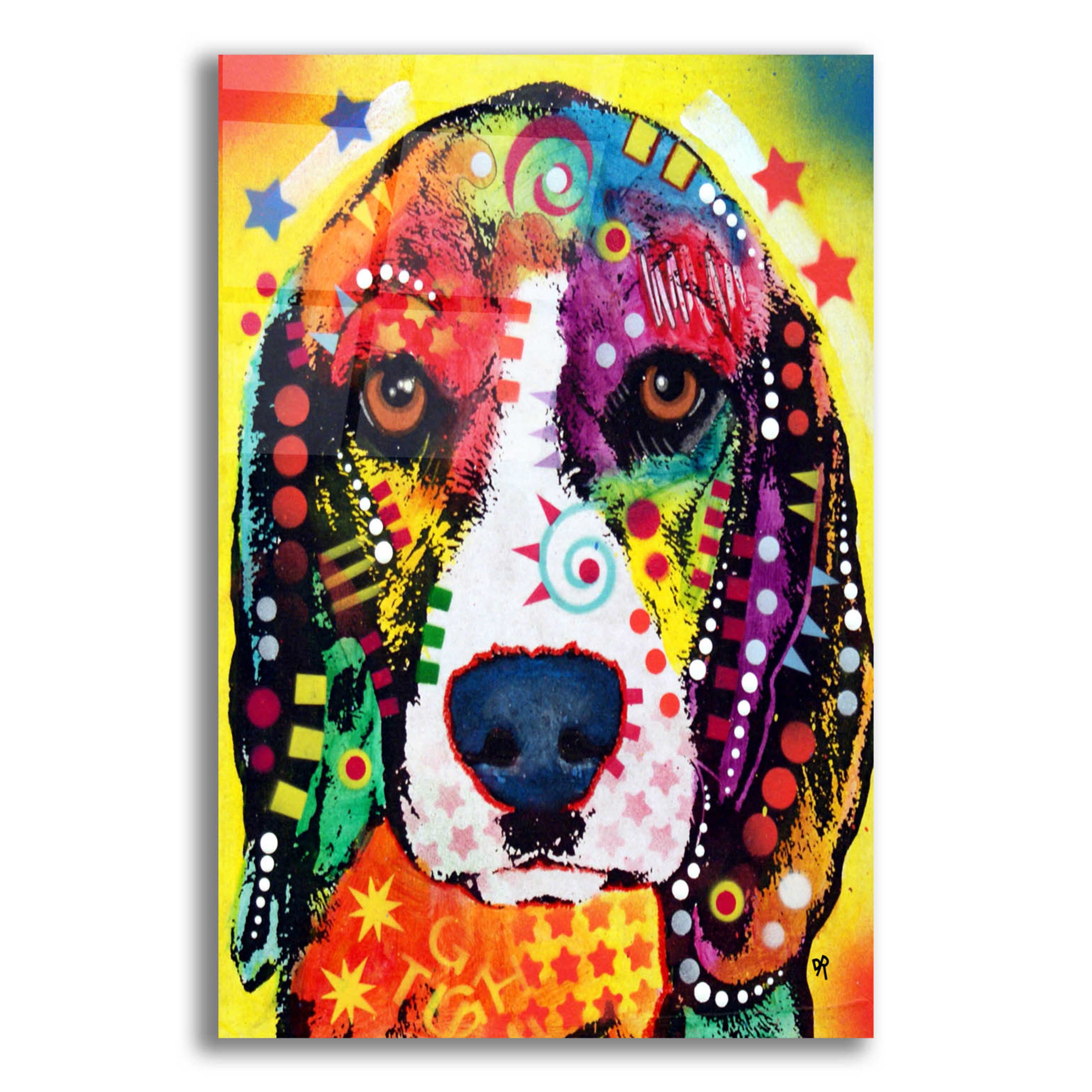 Epic Art 'Beagle Face' by Dean Russo, Acrylic Glass Wall Art, 12"x16 ...