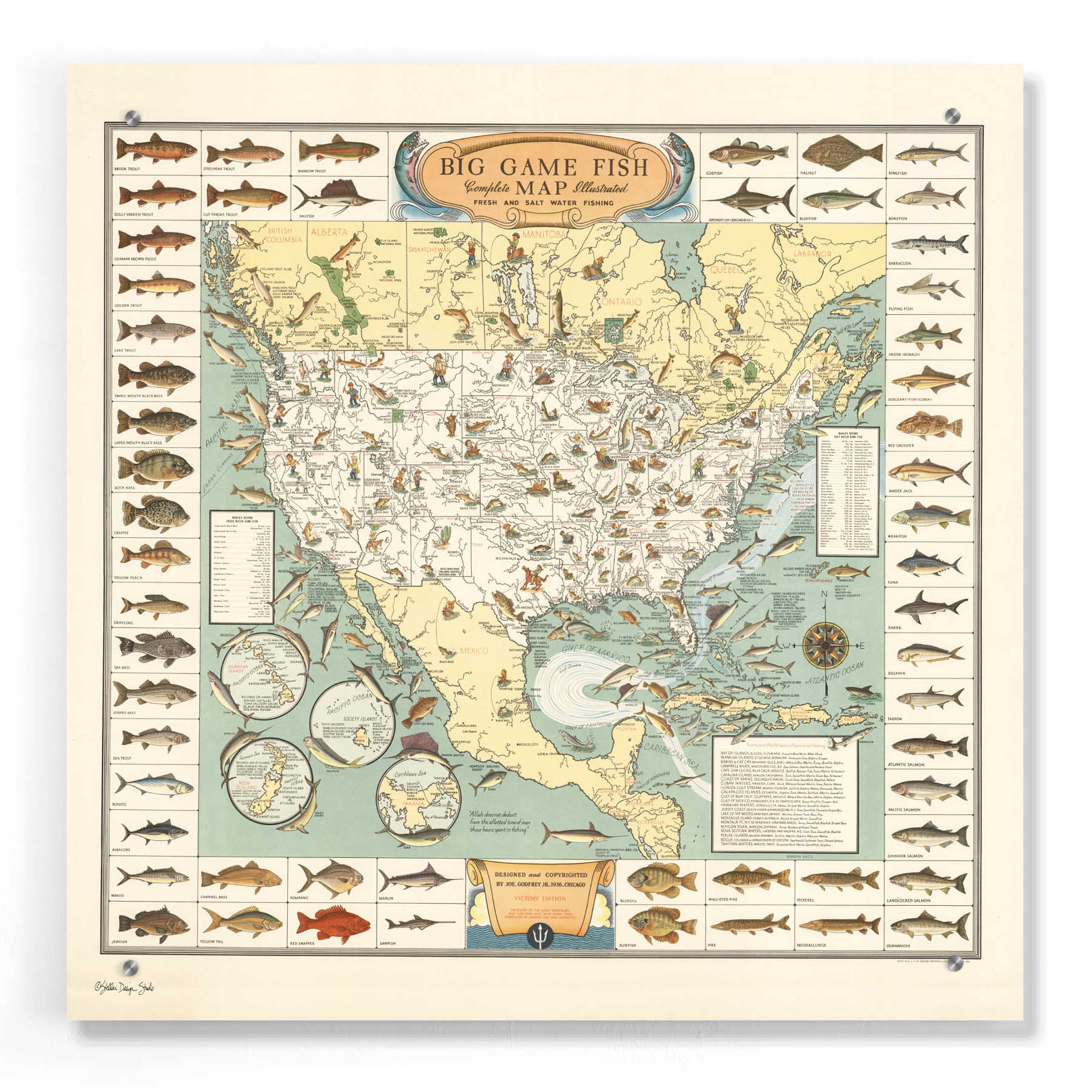 Epic Art 'Big Game Fish Map' by Stellar Design Studio, Acrylic Glass ...