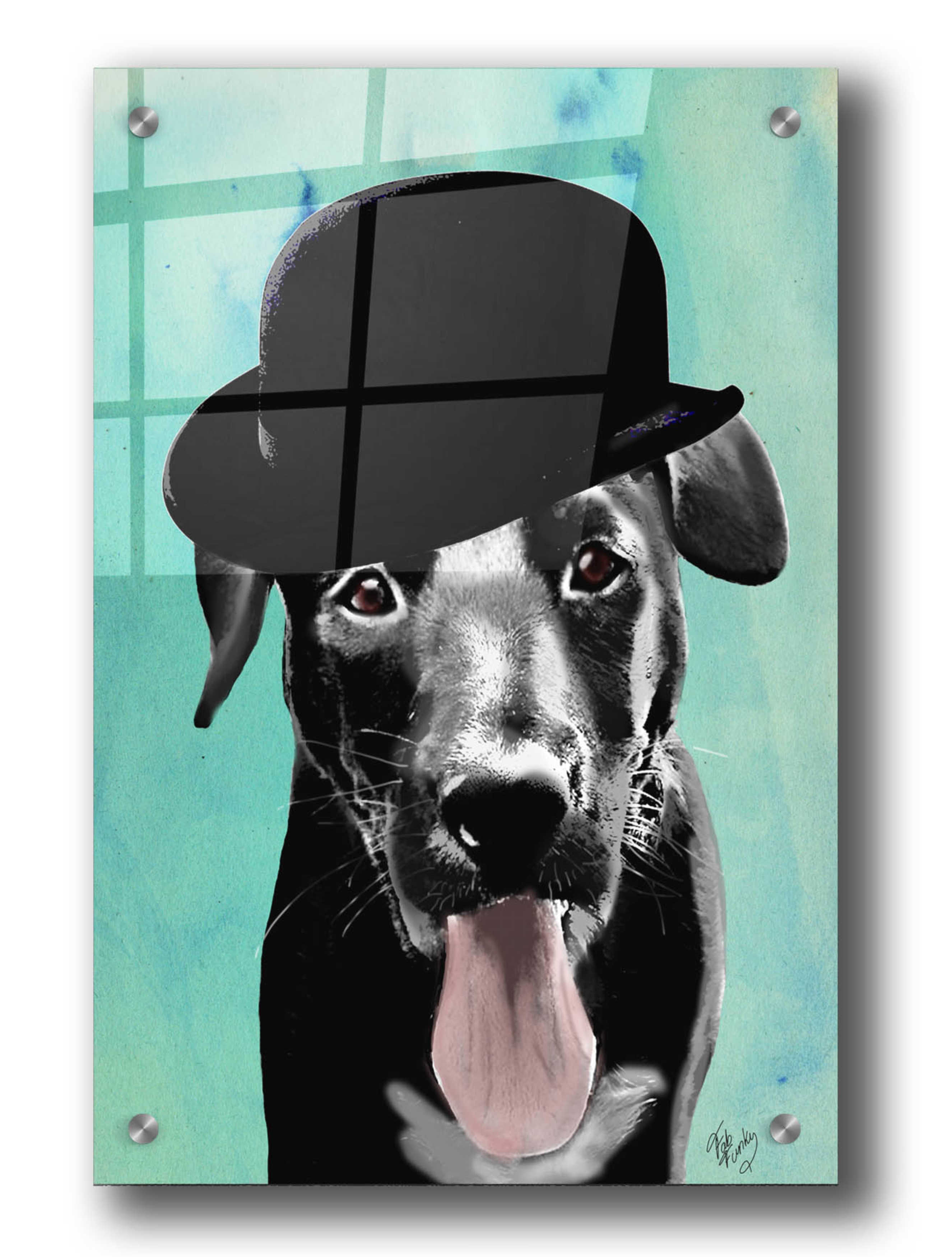 Epic Art 'Black Labrador in Bowler Hat' by Fab Funky, Acrylic Glass ...