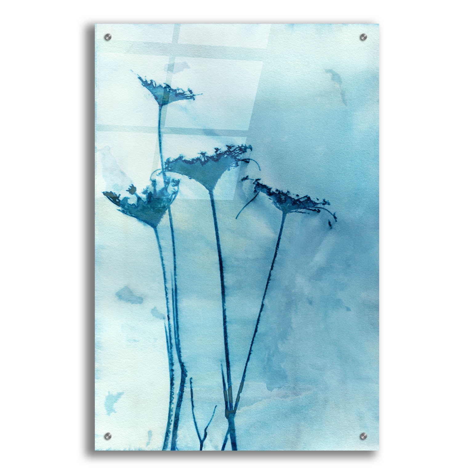 Epic Art 'Blue Anne' by Krista Mccurdy, Acrylic Glass Wall Art, 24"x36 ...
