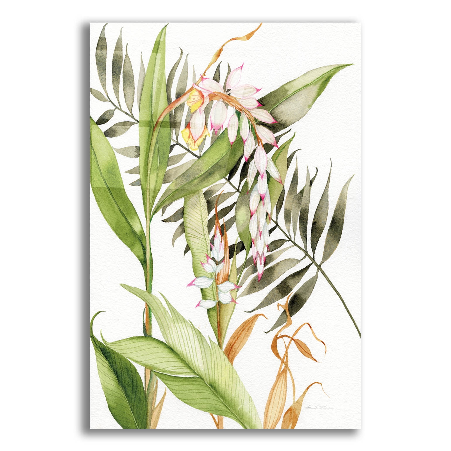 Epic Art 'Botanical Shell Ginger ' by Kathleen Parr Acrylic Glass Wall ...