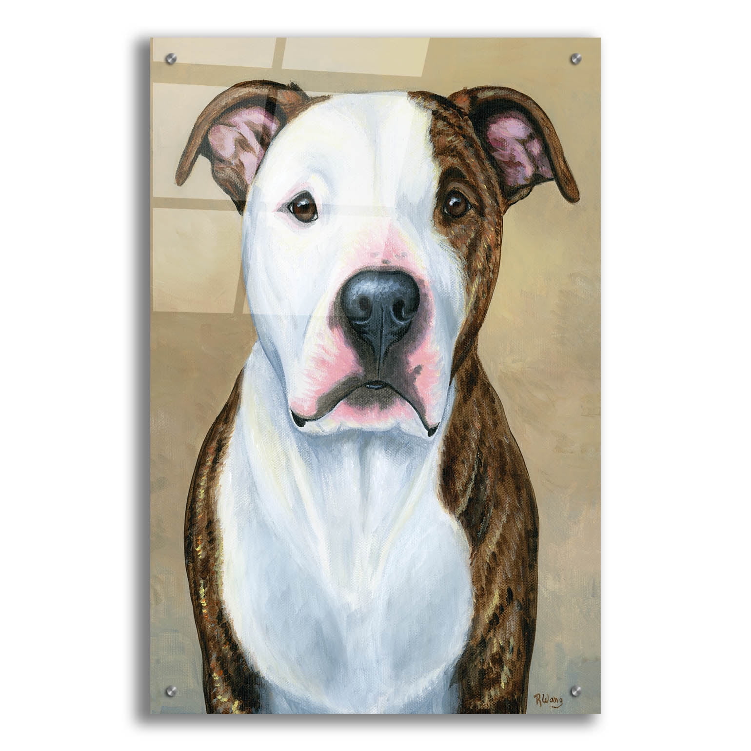 Epic Art 'Brindle and White Pitbull Terrier' by Rebecca Wang Art ...