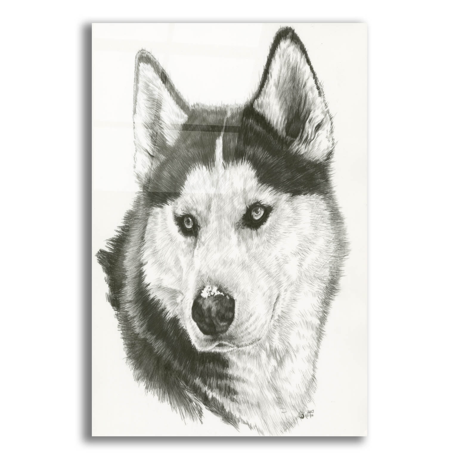 Epic Art 'Buff' by Barbara Keith, Acrylic Glass Wall Art, 12"x16 ...
