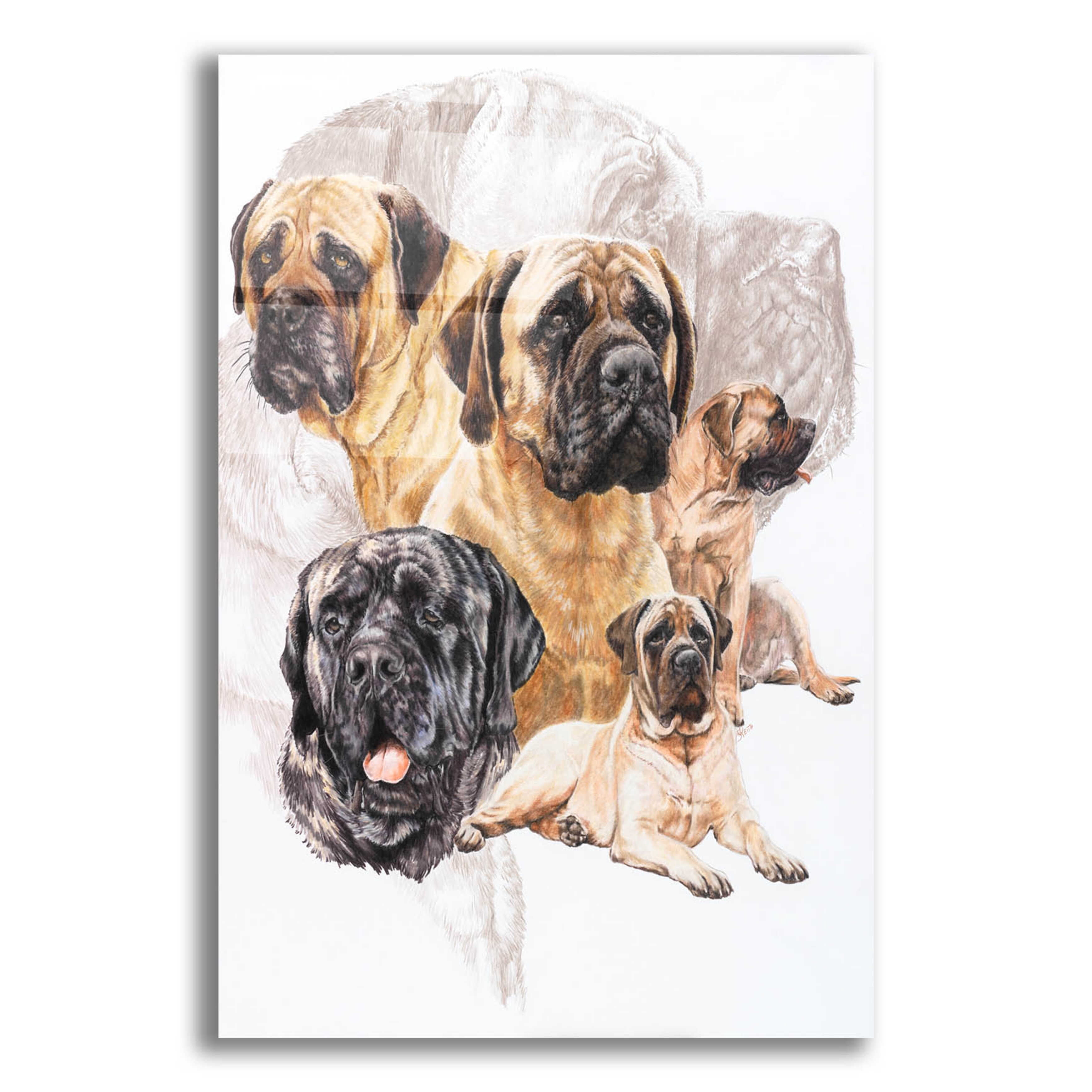 Epic Art 'Bull Mastiff with Ghost' by Barbara Keith, Acrylic Glass Wall ...