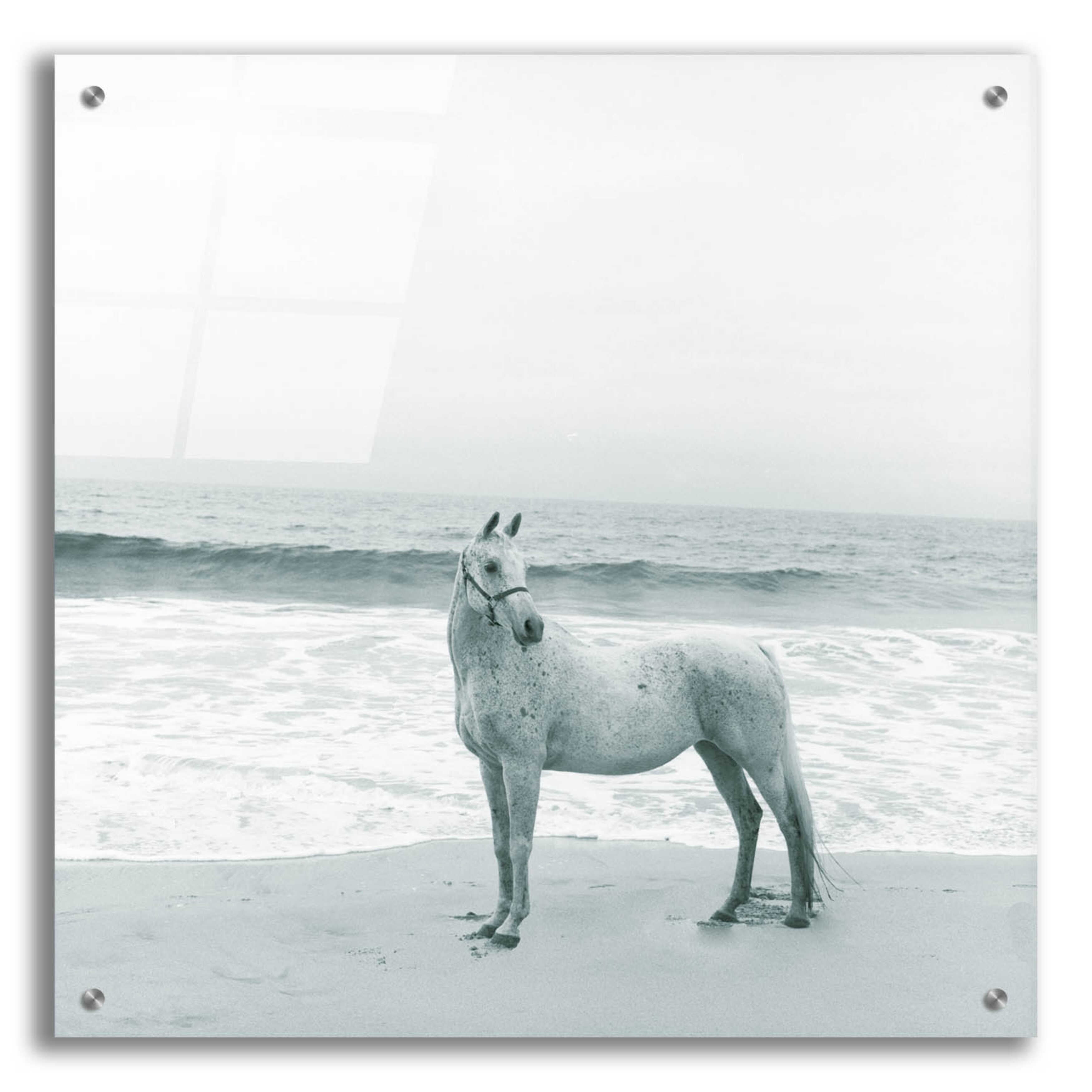 Epic Art 'Carly at the beach' by Susan Friedman, Acrylic Glass Wall Art ...