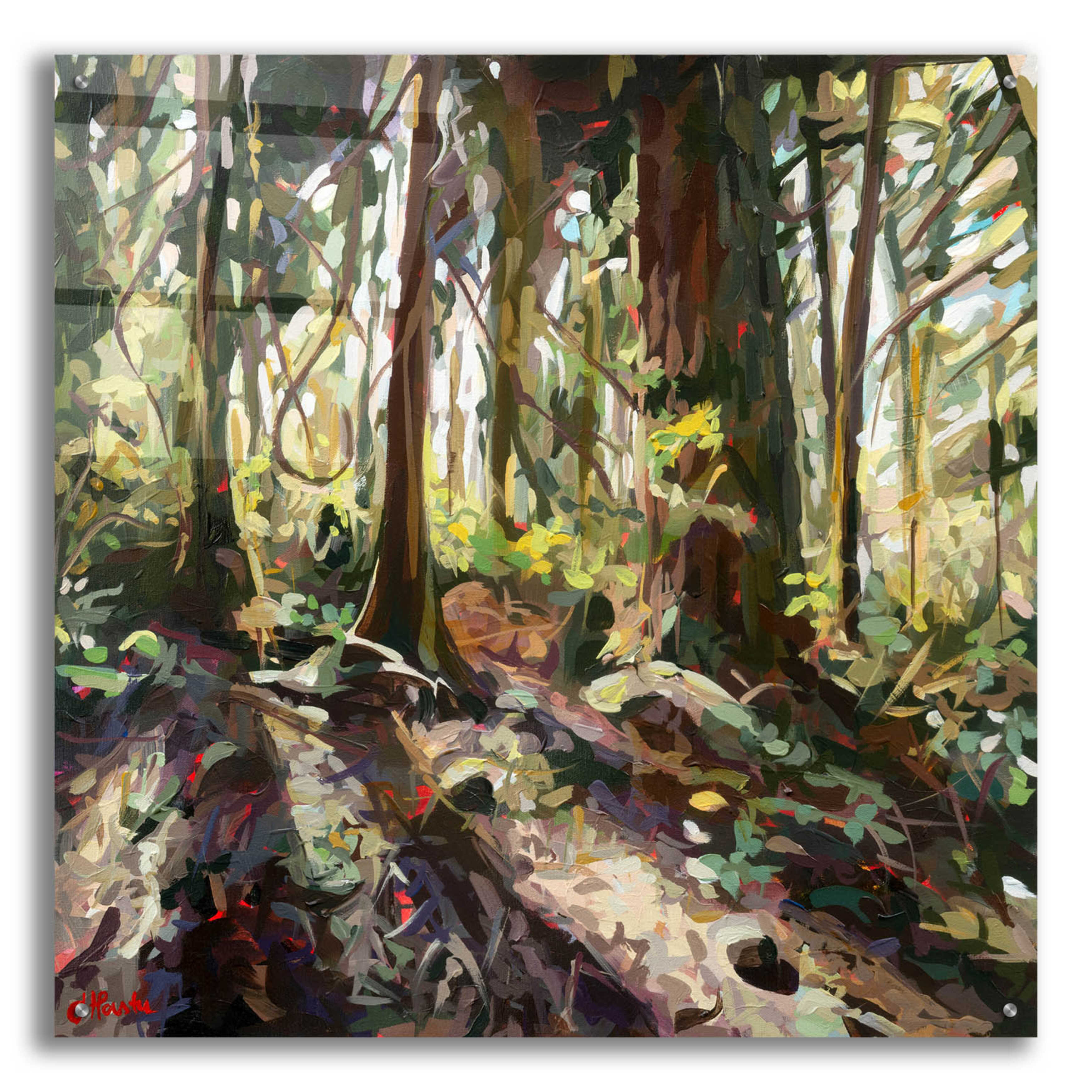 Epic Art 'Cedar Shadows' by Joanne Hastie, Acrylic Glass Wall Art, 36 ...