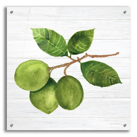 Epic Art 'Citrus Garden 2 Shiplap' by Kathleen Parr Acrylic Glass Wall ...