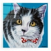 FrameToWall - Fat Cat Capsizing 29x15 Framed Art Print by Watherwax ...