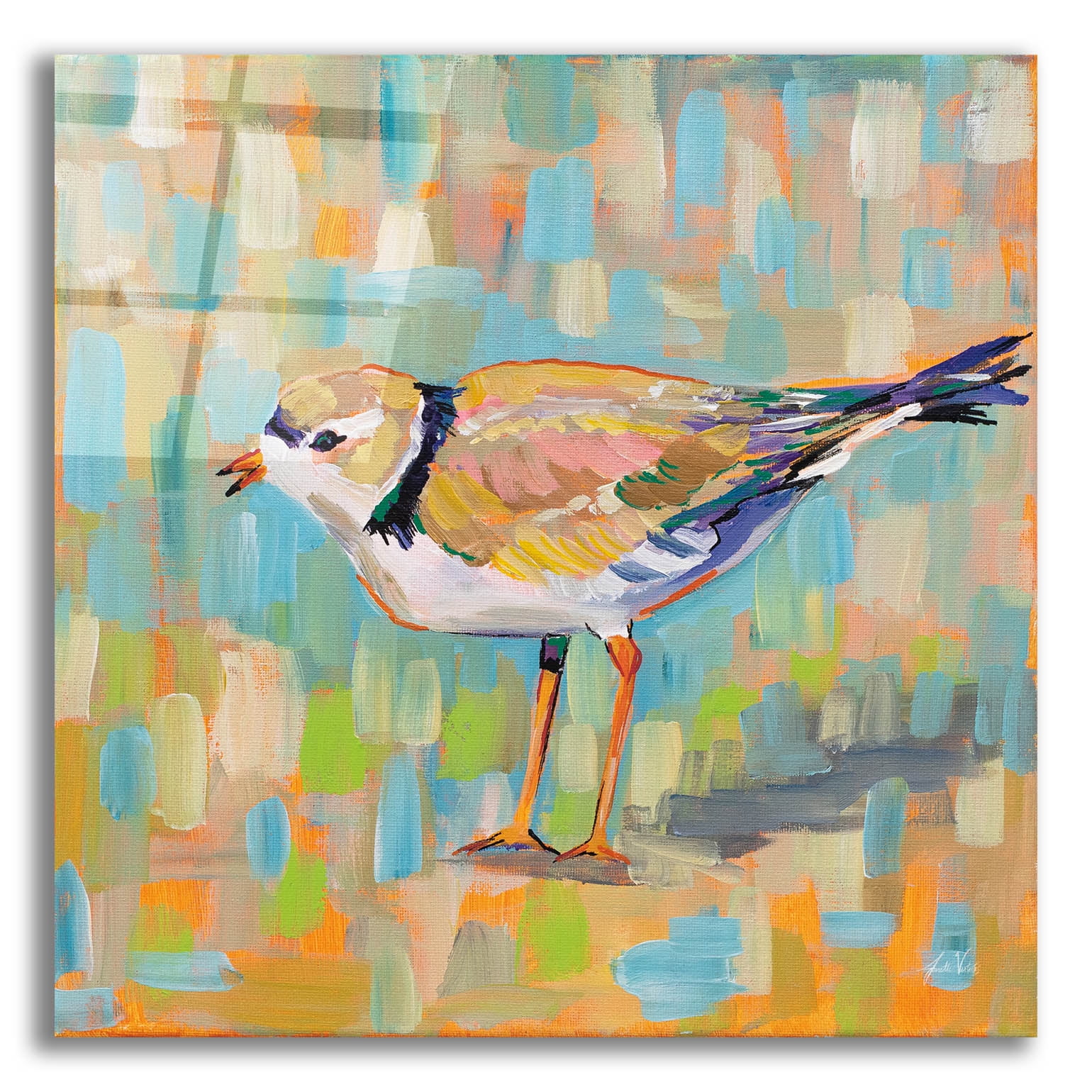 Epic Art 'Coastal Plover IV' by Jeanette Vertentes, Acrylic Glass Wall ...